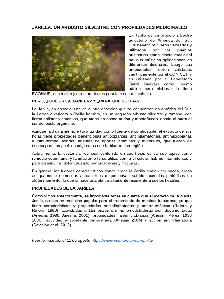 Jarilla | PDF | Salud y bienestar