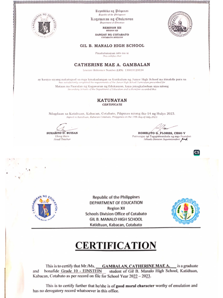 Gambalan, Catherine Mae A. | PDF