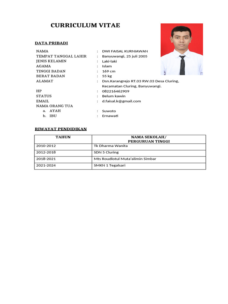 CV Faisal | PDF