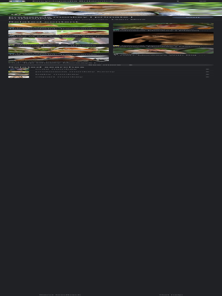 Monkey - Google Search | PDF | Social Science | Young Adult