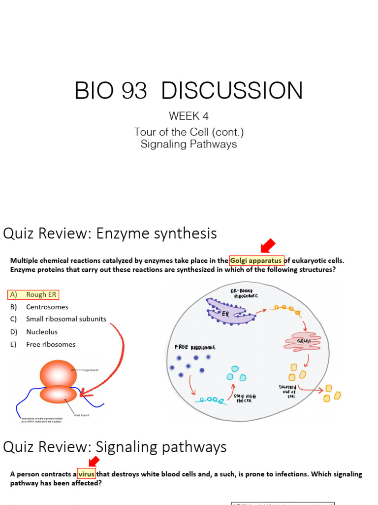 Bio93 Week 4 Slides 2021 Cell Signaling | PDF | Cell Signaling | Signal Transduction