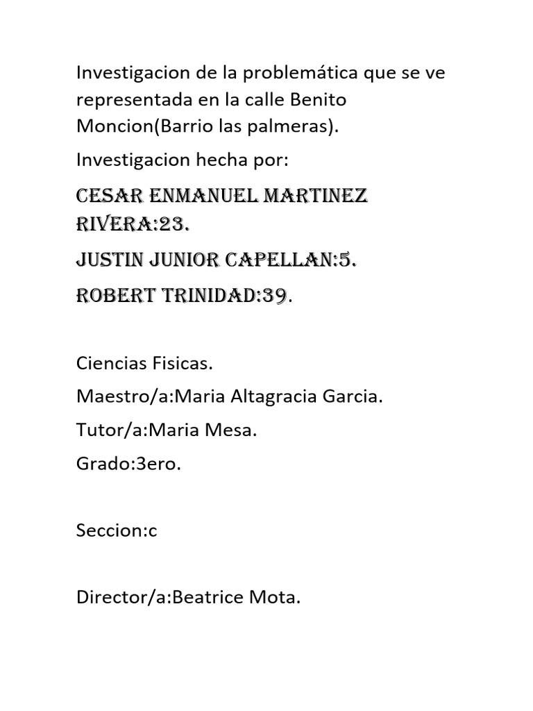 Investigacion de La Problemática Que Se Ve Representada en La Calle ...
