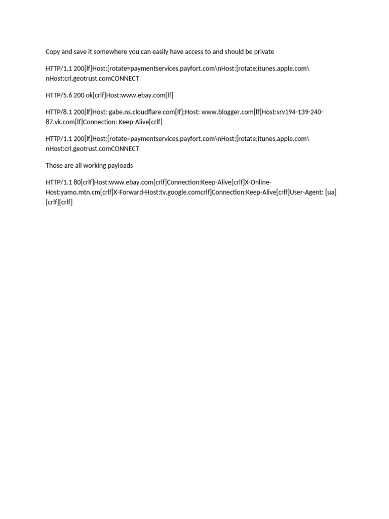 Pay Load | PDF | Technology & Engineering