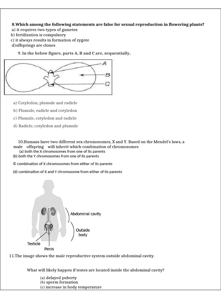 set a | PDF | Sexual Reproduction | Genetics