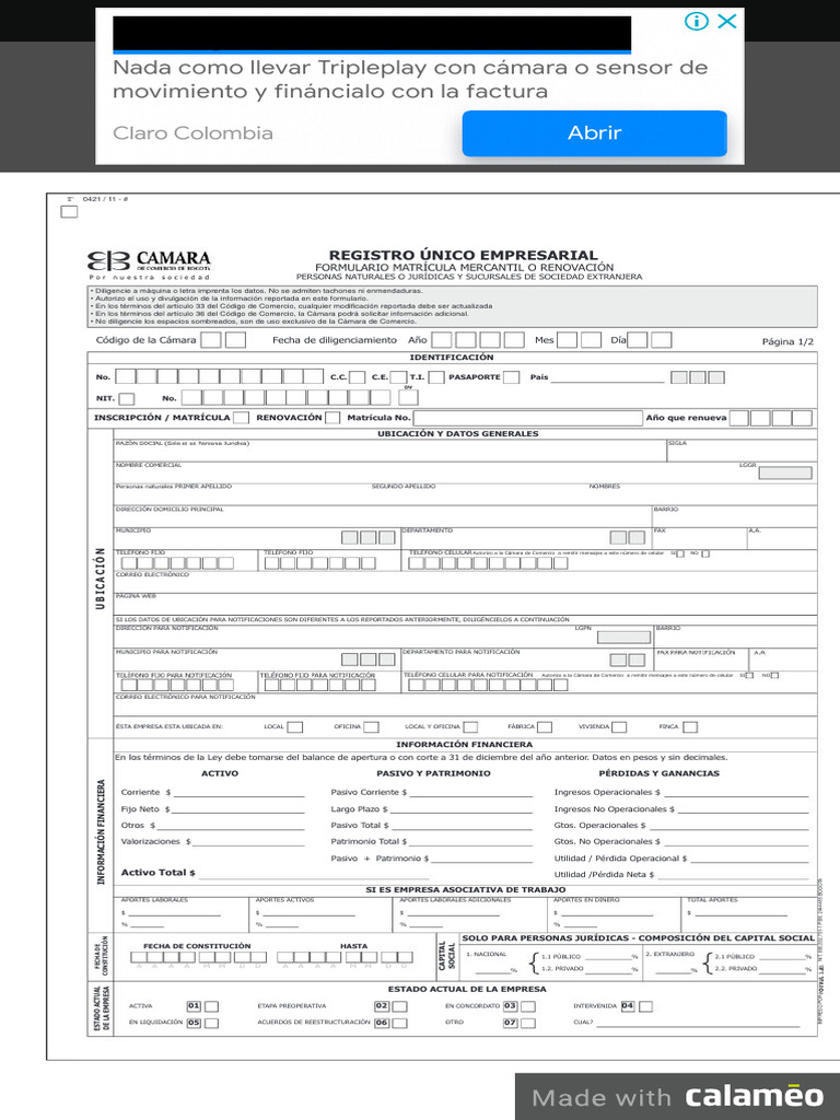 Formulario de La Camara de Comercio | PDF