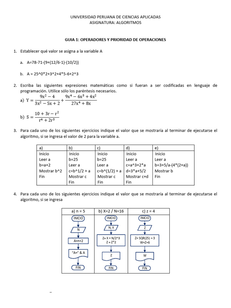 ALG-Guia 1 - Operadores | PDF