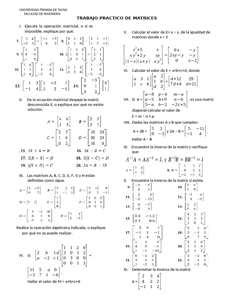 Trabajo Practico de Matrices | PDF | Análisis matemático | Relaciones matematicas