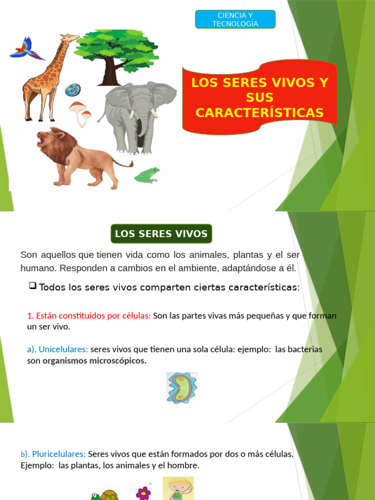 Seres Vivos y Caracteristicas | PDF | Ciencias sociales