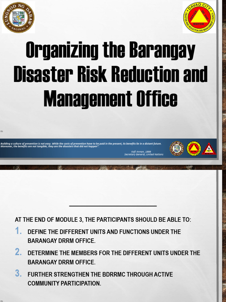 3 BDRRMP-BDRRMC | PDF | Disaster Risk Reduction | United Nations