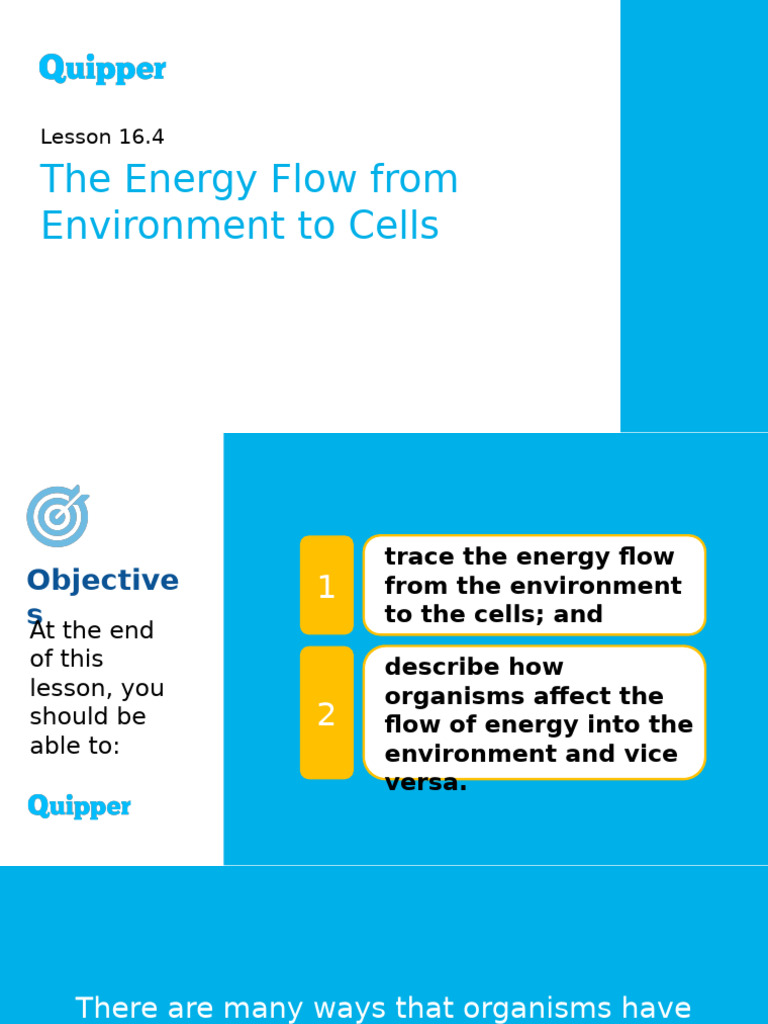 Earth and Life Science SHS 16.4 The Energy Flow From Environment To ...