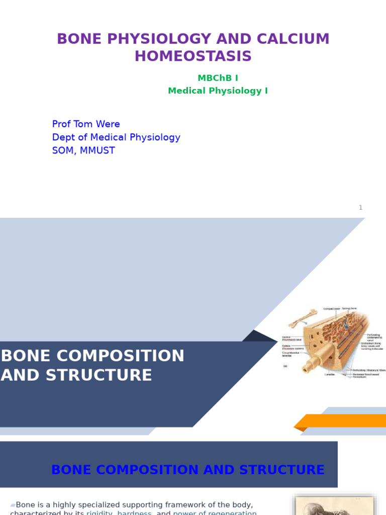 Bone Physiology and Calcium Balance | PDF | Bone | Calcium In Biology