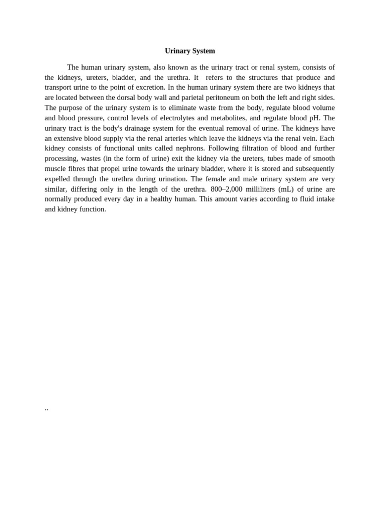 Vivialyn | PDF | Urinary System | Kidney