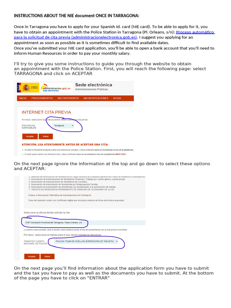 How To Apply For The Nie Card | PDF | Career & Growth | Finance & Money ...