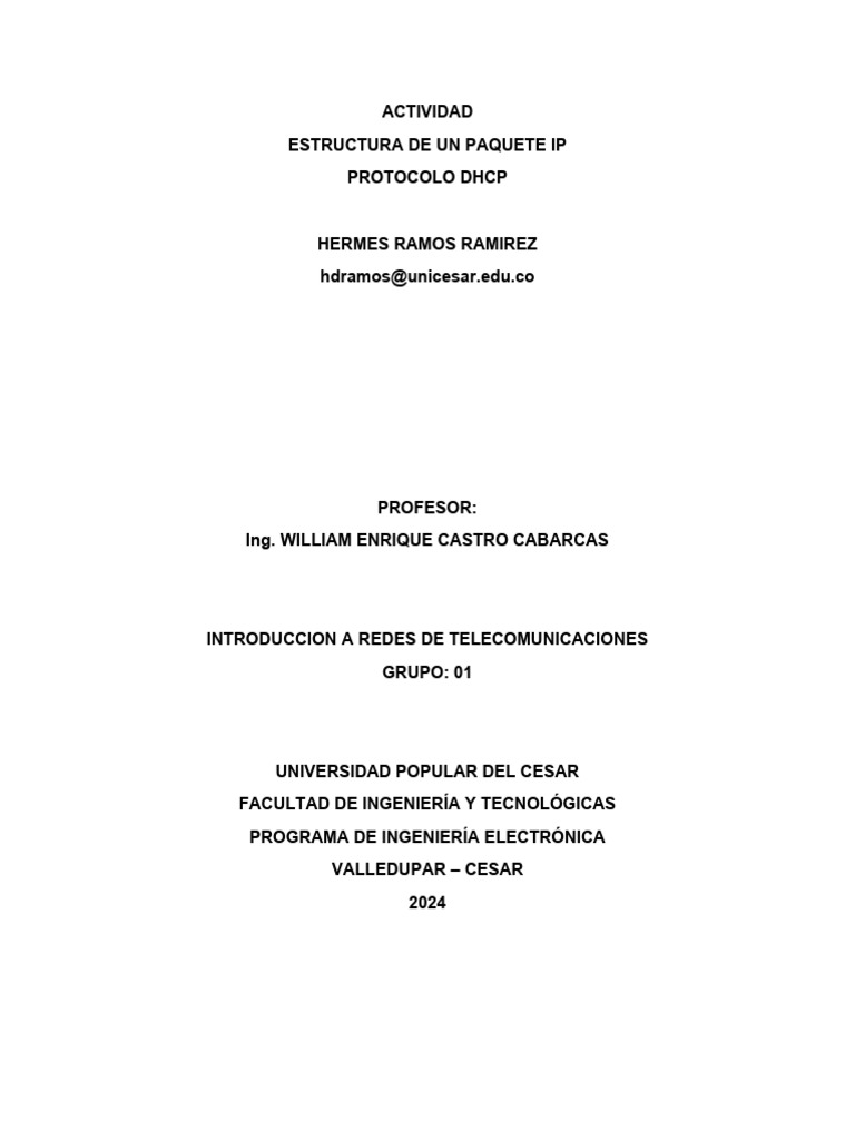 Estructura de un Paquete IP y DHCP | PDF | Protocolos de internet | Yo Pv6