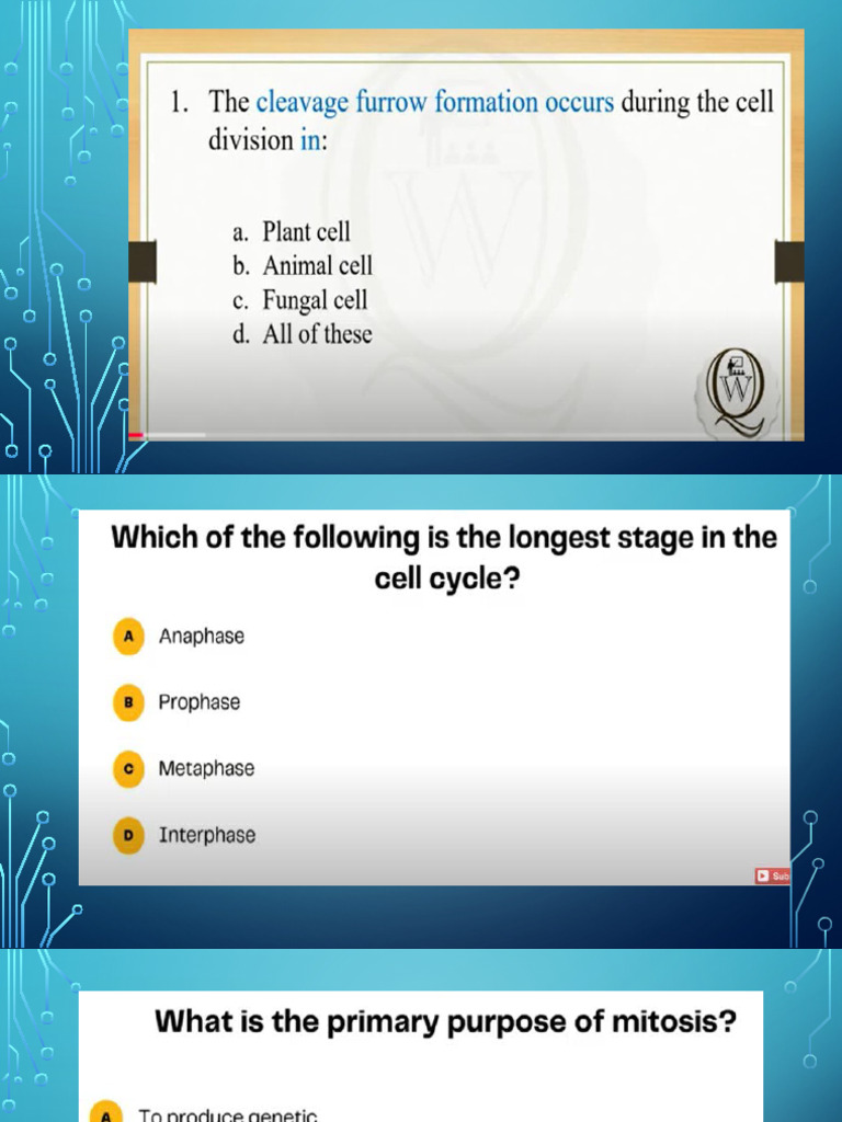 Sci7 LQ Cell Division | PDF