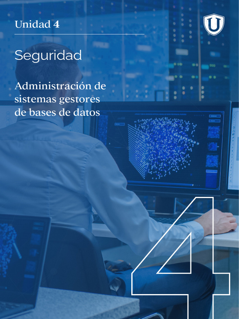 U4 Seguridad | PDF | Cifrado | Bases de datos