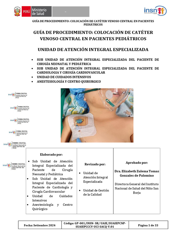 GP Colocación Del Catéter Venoso Central en Pacientes Pediatricos Vf ...