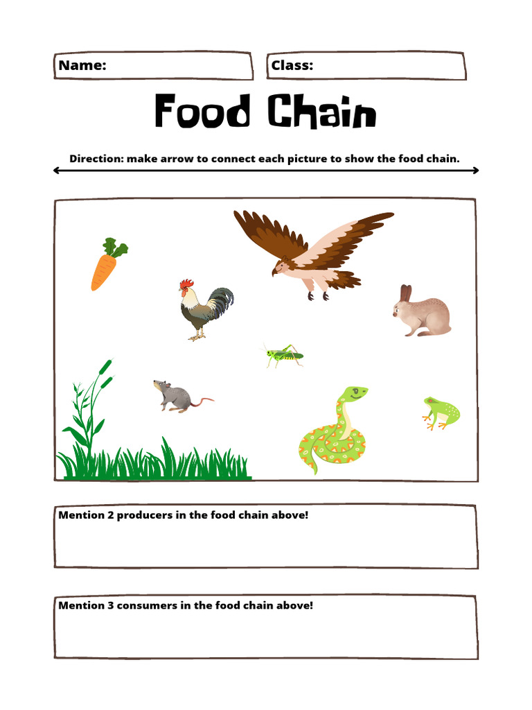Brown Food Chain Worksheet | PDF | Wellness