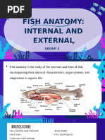 Anatomy of Fishes | PDF | Science & Mathematics
