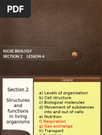 ? IGCSE Biology Chapter 11 Notes | PDF | Respiratory System ...