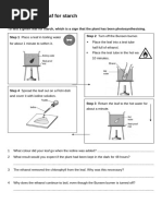 Testing Leaves For Starch | PDF | Photosynthesis | Leaf