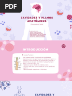 LOCALIZACI+ôN DE ESTRUCTURAS ANAT+ôMICAS. Cavidades Corporales. | PDF | Abdomen | Tórax