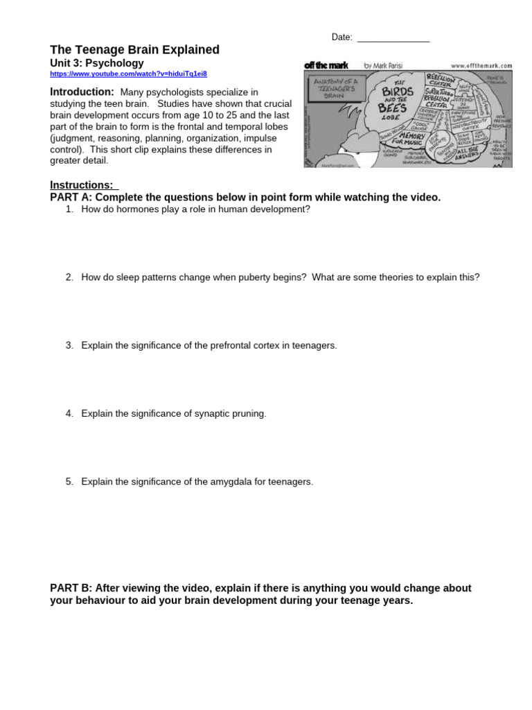 Understanding Teenage Brain Development | PDF | Science & Mathematics