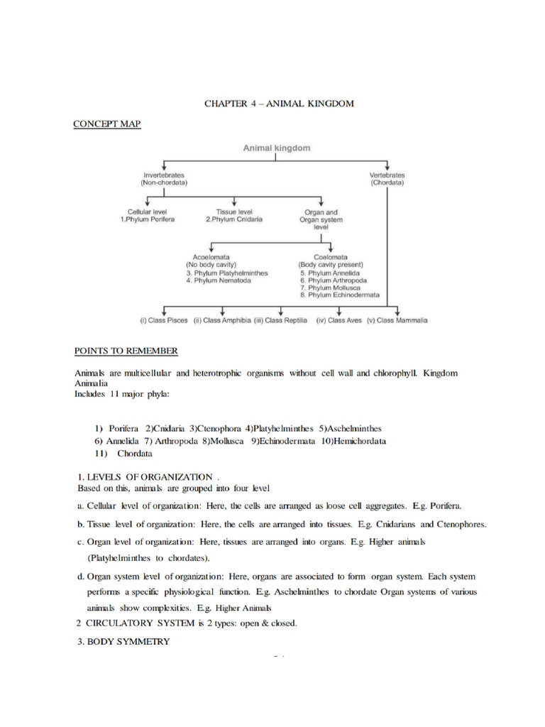 Animal Kingdom PDF | PDF