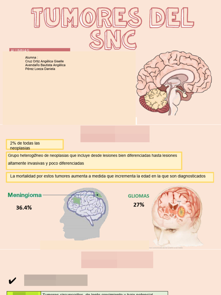 Tumores Malignos | PDF | Neoplasias | Sistema nervioso central