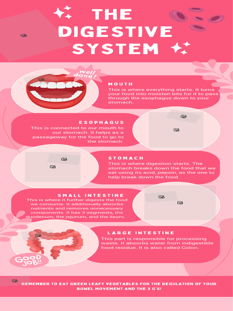 Science Infographic 8 | PDF