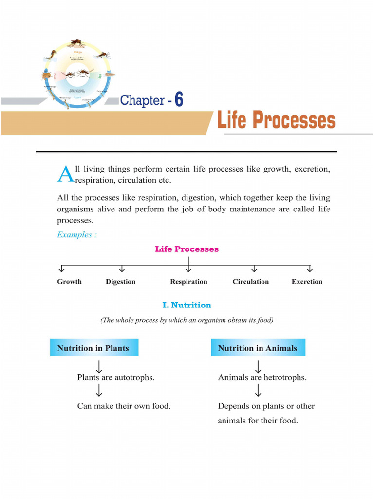 CLASS 10th LIFE PROCESS | PDF
