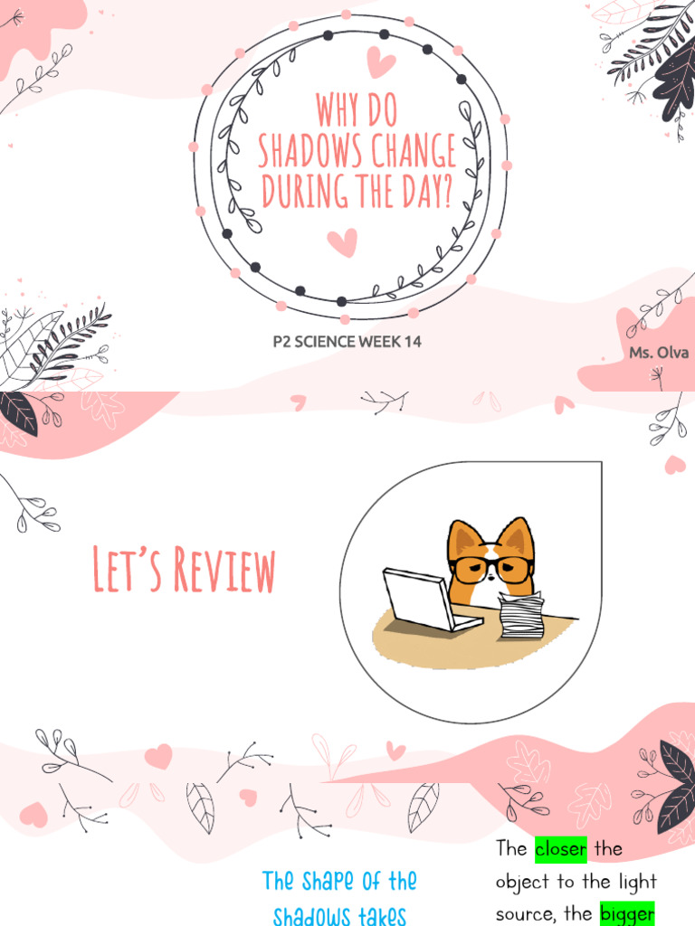 P2 Science Week 14 | PDF