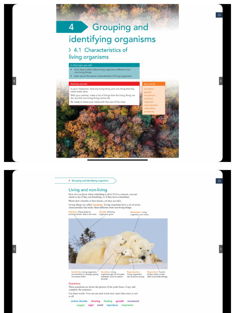 Grouping and Identifying Organism | PDF