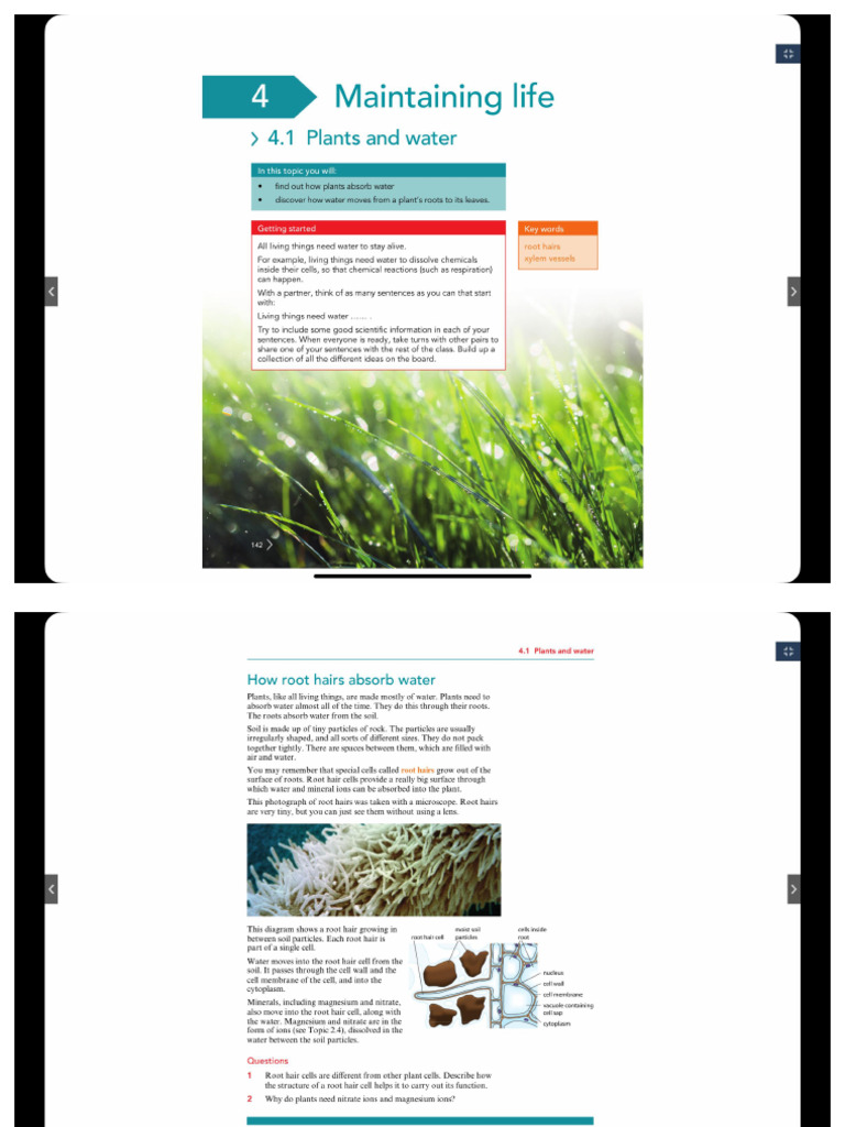 Maintaining Life | PDF