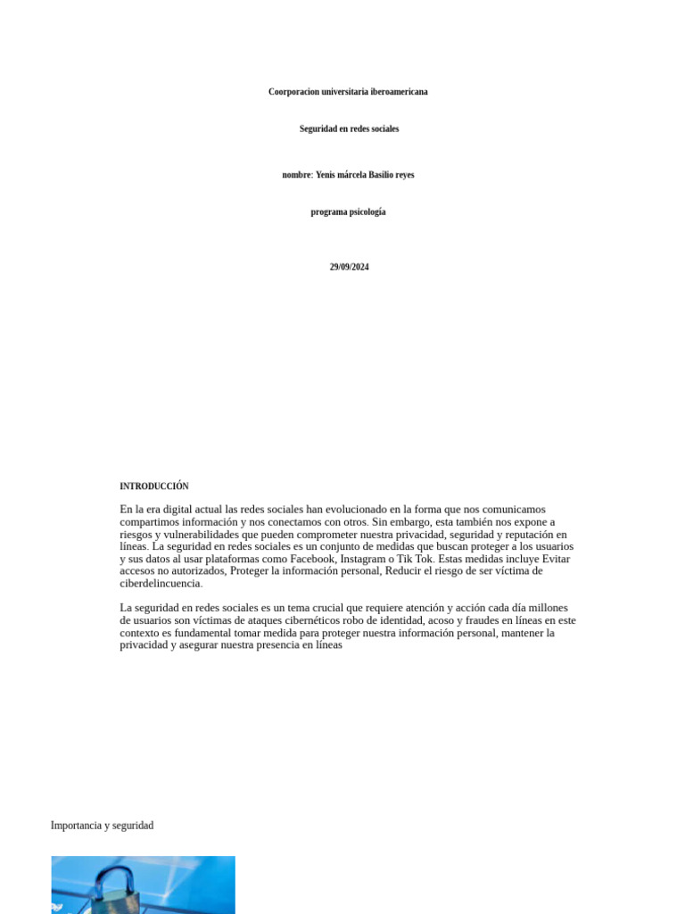 Seguridad En Las Redes Sociales Pdf Servicio De Redes Sociales