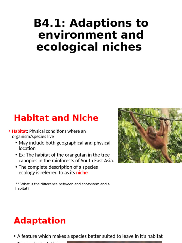IB - B4.1 - Habitats and Adaptation To Environment - Notes | PDF ...