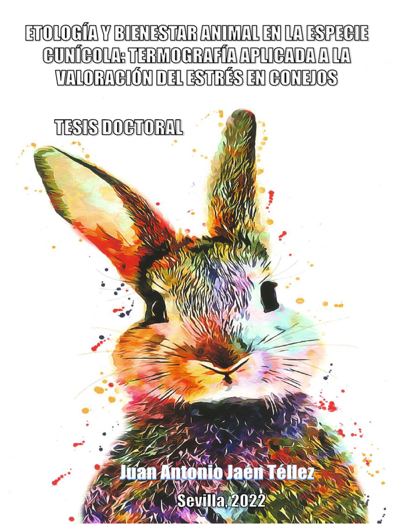 UTF-8QJa C3 A9n T C3 A9llez, Juan Antonio Tesis - PDF | PDF