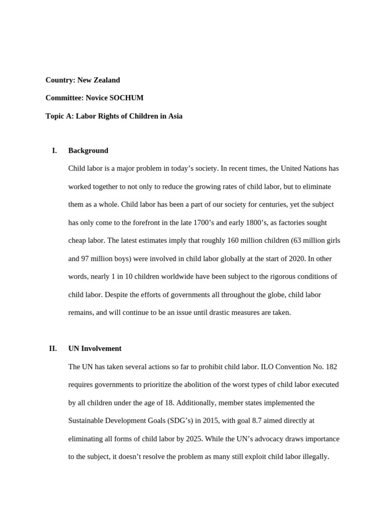 New Zealand Novice SOCHUM Position Paper | PDF | Child Labour | Sustainability