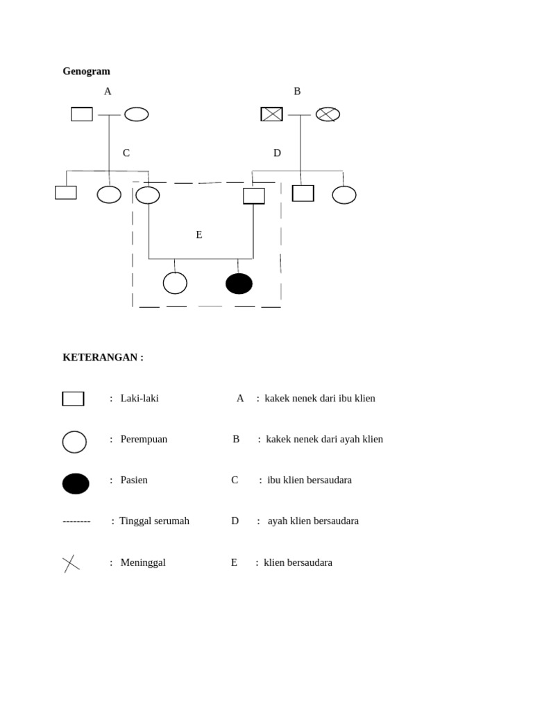 Contoh Genogram Dua Generasi | PDF