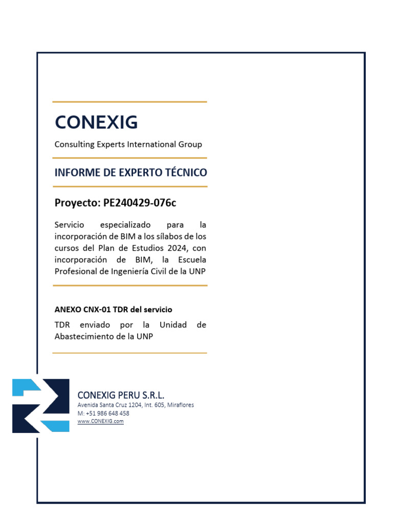 Anexo CNX-01 TDR Del Servicio | PDF