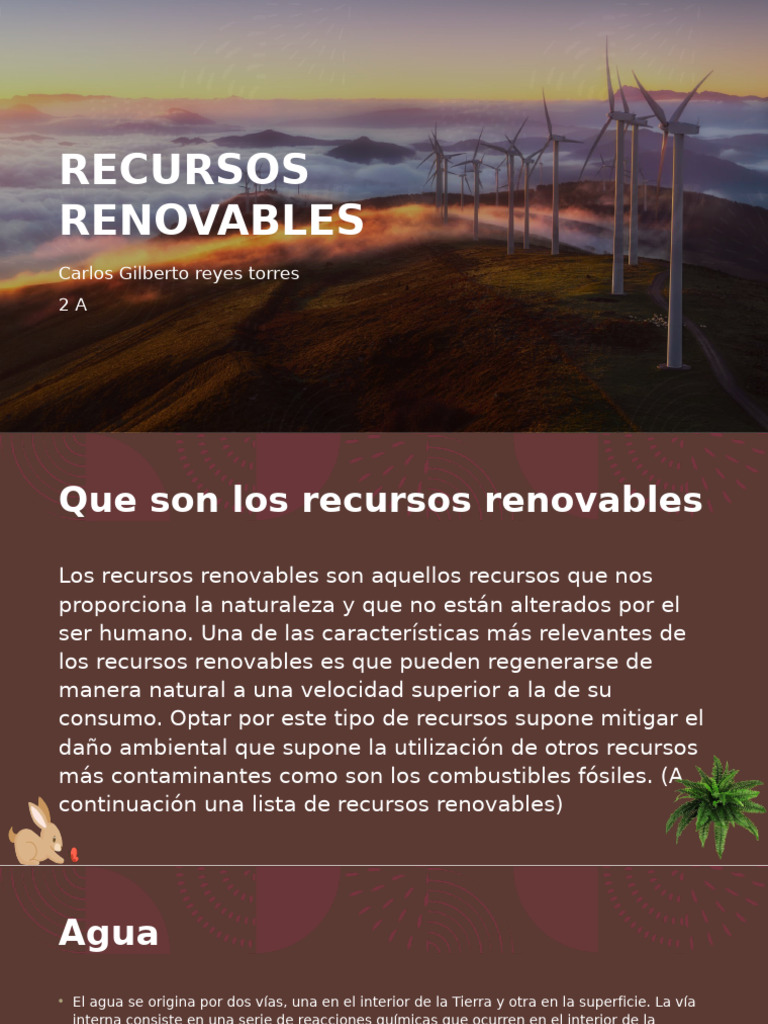 RECURSOS RENOVABLES | PDF | Agua | Vapor de agua