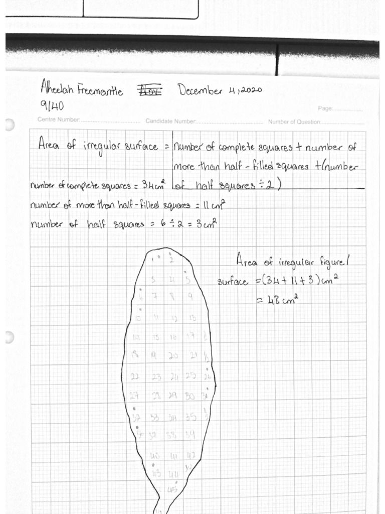 Area of Irregular Surface | PDF
