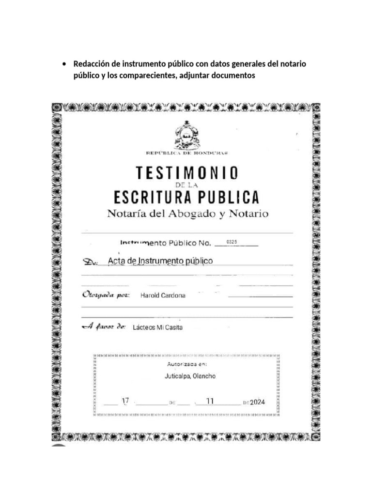 Instrumento Público Notarial | PDF