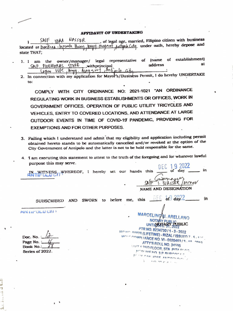 Affidavit Saif Nasser | PDF