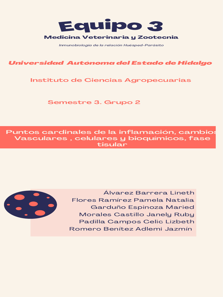 U5 Infografía Inflamación Equipo3 | PDF | Inflamación | Leucocito