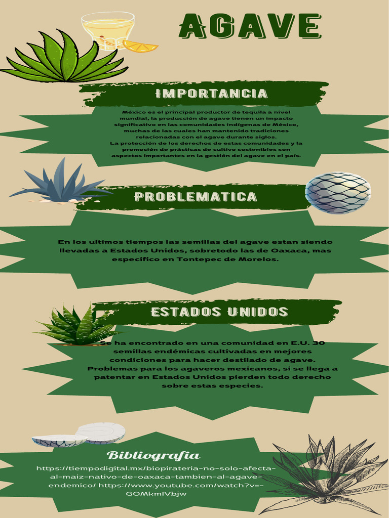 Agave | PDF