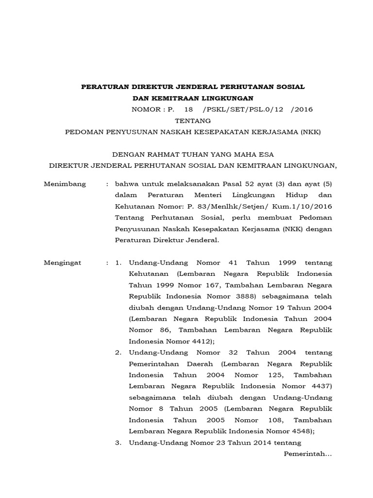 Perdirjen P 18 Tentang Pedoman Penyusunan NKK | PDF
