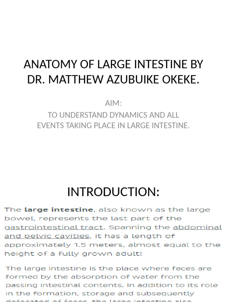 Anatomy of Large Intestine by DR, Matthew | PDF