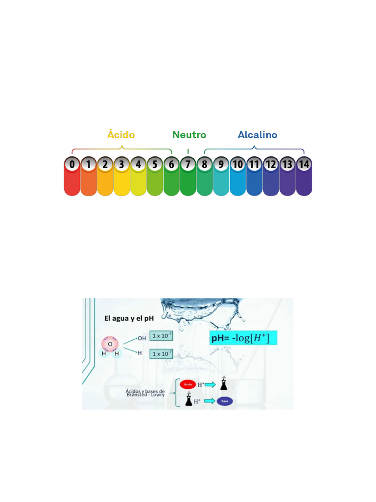 Practica #2, Bioquimica | PDF | Ph | Solución tampón