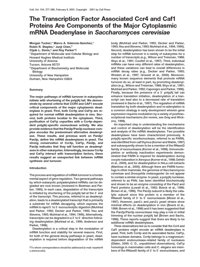 The Transcription Factor Associated Ccr4 and Caf1 | PDF | Messenger Rna ...